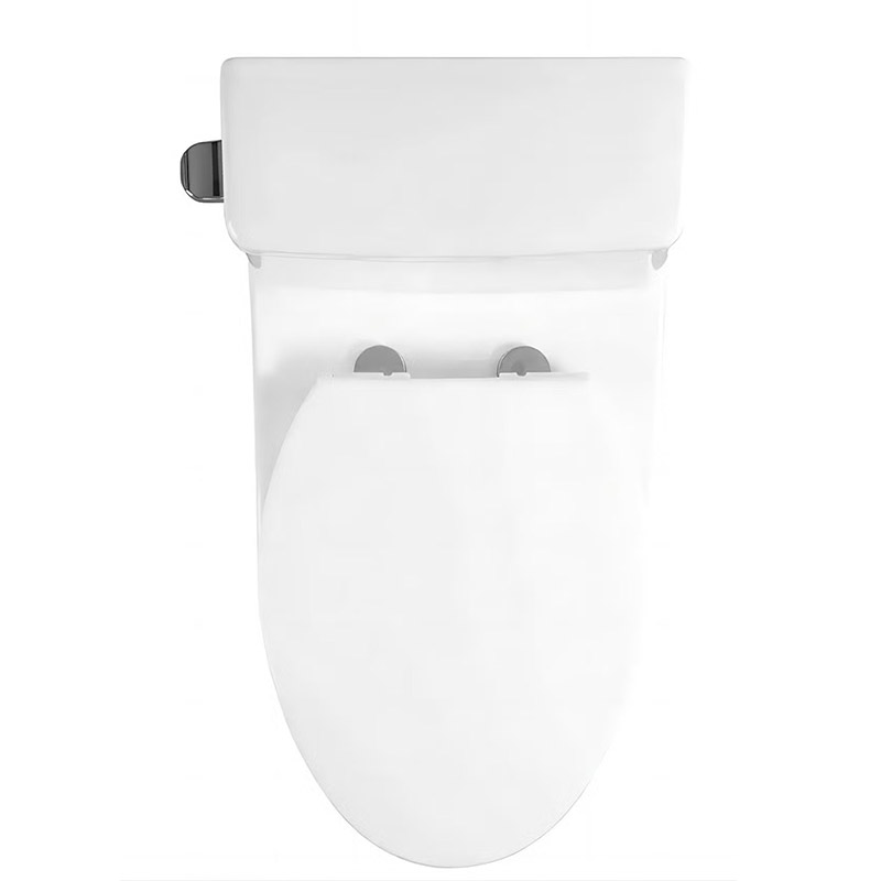 Left Side Single Flush Toilet - Jabra Sanitary