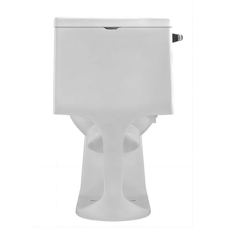 Left Side Single Flush Toilet - Jabra Sanitary