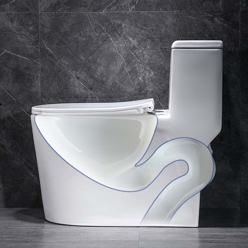 Low Profile Toilet | Small Profile Toilet - Jabra Sanitary