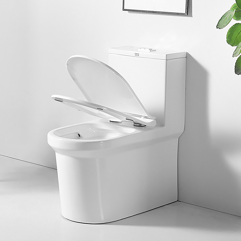 Dual Flush Round Toilet for Bathroom Project - Jabra Sanitary