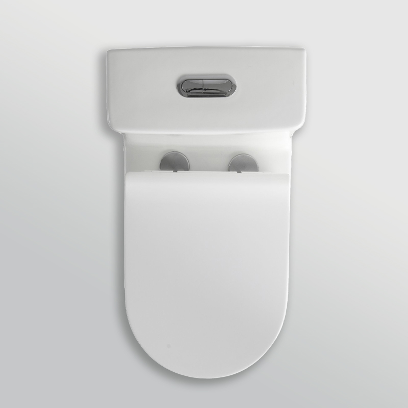 S Trap Commode with Efficient Siphon Flush - Jabra Sanitary
