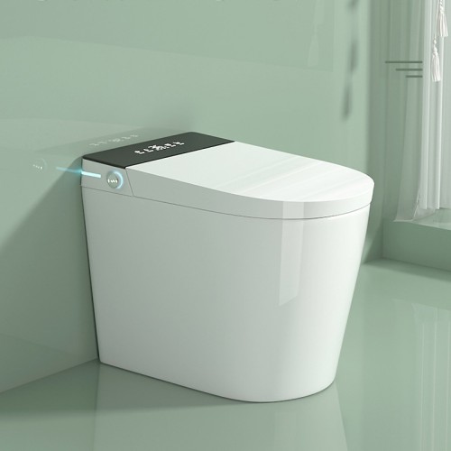 Japanese High Tech Bidet Toilet - Jabra Sanitary