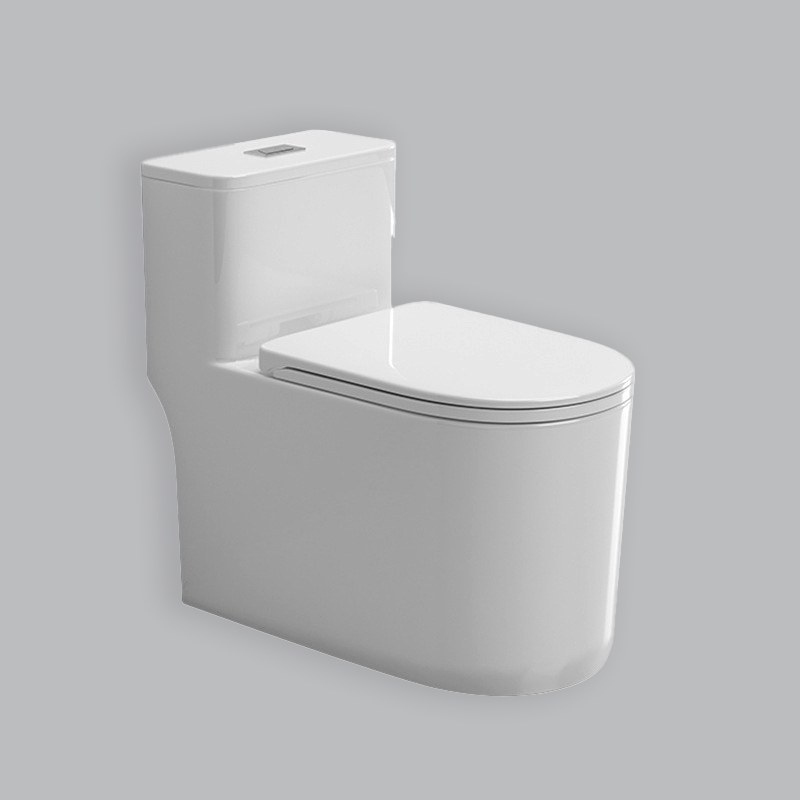 14-Inch Rough-In Toilets Guide